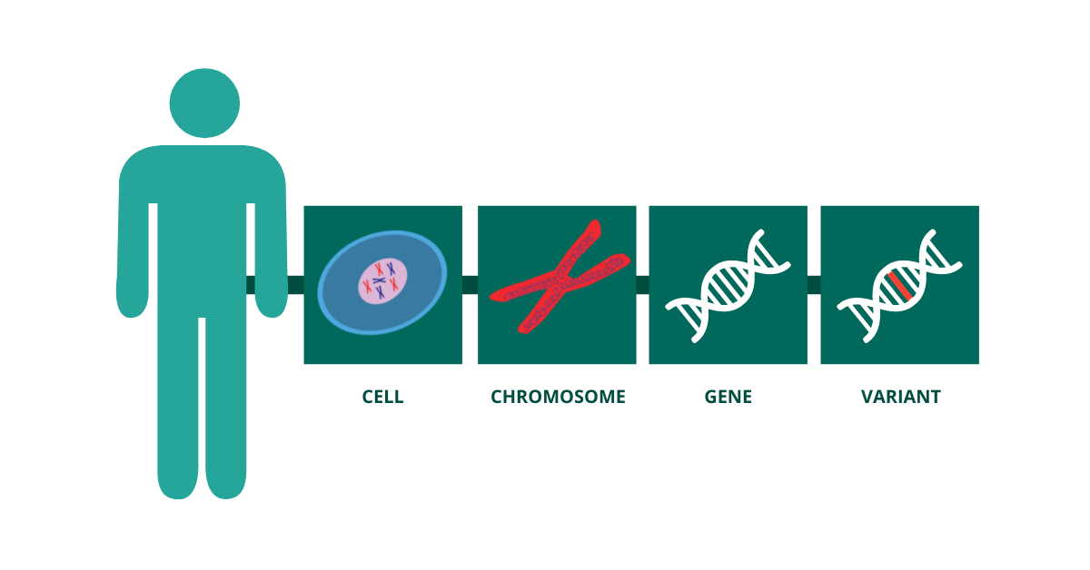 Genetic disorders: Causes and Treatments